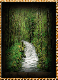 Arboles GIFs - Get the best gif on GIFER