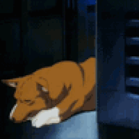 Ein GIFs - Get the best gif on GIFER