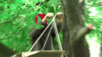 Divergent Zipline Gif
