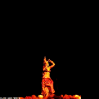 Moar GIFs - Get the best gif on GIFER