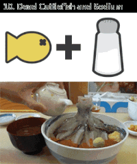 Seiche GIFs - Get the best gif on GIFER