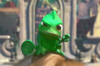 Pascal GIFs - Get the best gif on GIFER