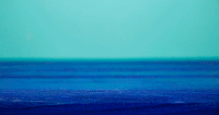 Seafood GIFs - Get the best gif on GIFER
