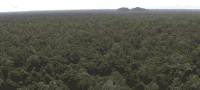 Deforestation GIFs - Get the best gif on GIFER
