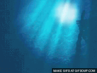 Underwater GIFs - Get the best gif on GIFER