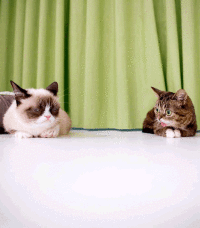 Modern GIFs - Get the best gif on GIFER