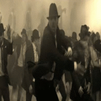 Running into glass GIF - Conseguir o melhor gif em GIFER