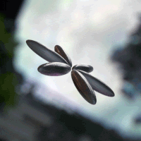 Form GIFs - Get the best gif on GIFER