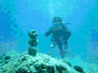 Force GIFs - Get the best gif on GIFER