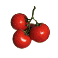 Legume GIFs - Get the best gif on GIFER