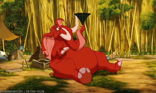 Tantor GIFs - Get the best gif on GIFER