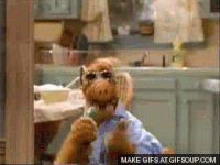 Alf GIFs - Get the best gif on GIFER