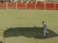 Toro GIFs - Get the best gif on GIFER