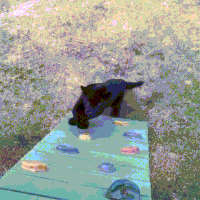 Climbed GIFs - Get the best gif on GIFER