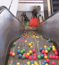 Escalator GIFs - Get the best gif on GIFER