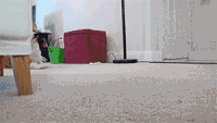 Crawling GIFs - Get the best gif on GIFER