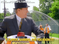 Stuffed shells GIFs - Get the best gif on GIFER