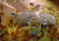 Datamosh GIFs - Get the best gif on GIFER