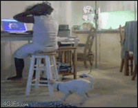 Dolor GIFs - Get the best gif on GIFER