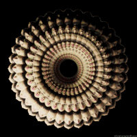 Mandala GIFs - Get the best gif on GIFER