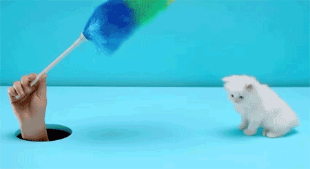 Koodo GIFs - Get the best gif on GIFER