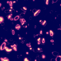 Fluid GIFs - Get the best gif on GIFER