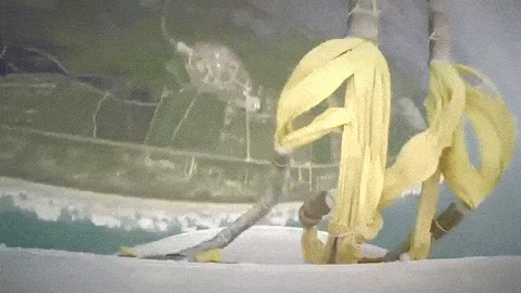 Icbf GIFs - Get the best gif on GIFER