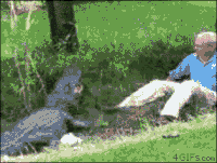 Bob barker GIF - Conseguir el mejor gif en GIFER