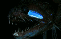 Deep sea GIFs - Get the best gif on GIFER