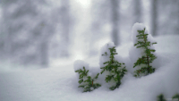 Froid GIFs - Obtenez le meilleur gif sur GIFER