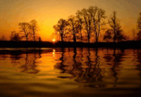 Lake GIFs - Get the best gif on GIFER