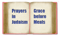 Judaism GIFs - Get the best gif on GIFER