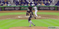Roundup GIFs - Get the best gif on GIFER