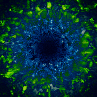 Reactor GIFs - Get the best gif on GIFER