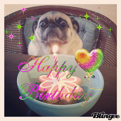 Hb GIFs - Get the best gif on GIFER