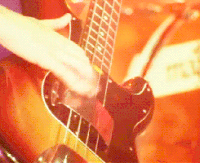 Bassist GIFs - Get the best gif on GIFER