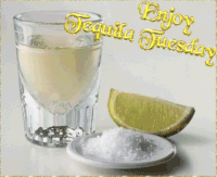 Tequila GIFs - Get the best gif on GIFER