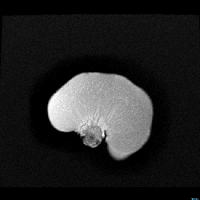 Resonance GIFs - Get the best gif on GIFER