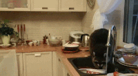 Kitchen GIFs - Get the best gif on GIFER