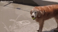 Rescue GIFs - Get the best gif on GIFER
