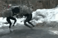 Stability GIFs - Get the best gif on GIFER