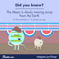 Facts GIFs - Get the best gif on GIFER