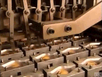 Fortuna GIFs - Get the best gif on GIFER