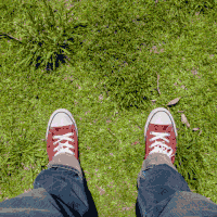 Converse GIFs - Get the best gif on GIFER