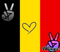 Belgium GIFs - Get the best gif on GIFER