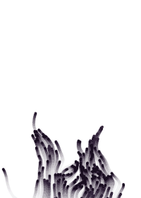 Flow GIFs - Get the best gif on GIFER