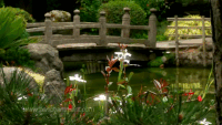 Gardens GIFs - Get the best gif on GIFER