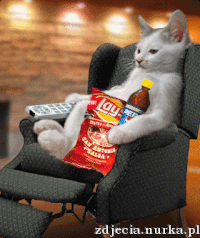 304 GIFs - Get the best gif on GIFER