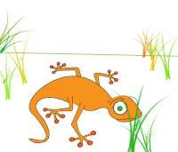 Lizards GIFs - Get the best gif on GIFER