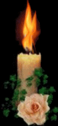 Solitaire GIFs - Get the best gif on GIFER
